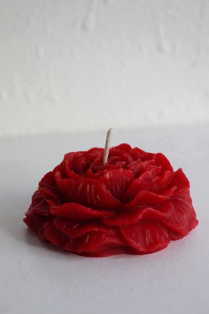 Opening Bloom Beeswax Candle – Jewitches